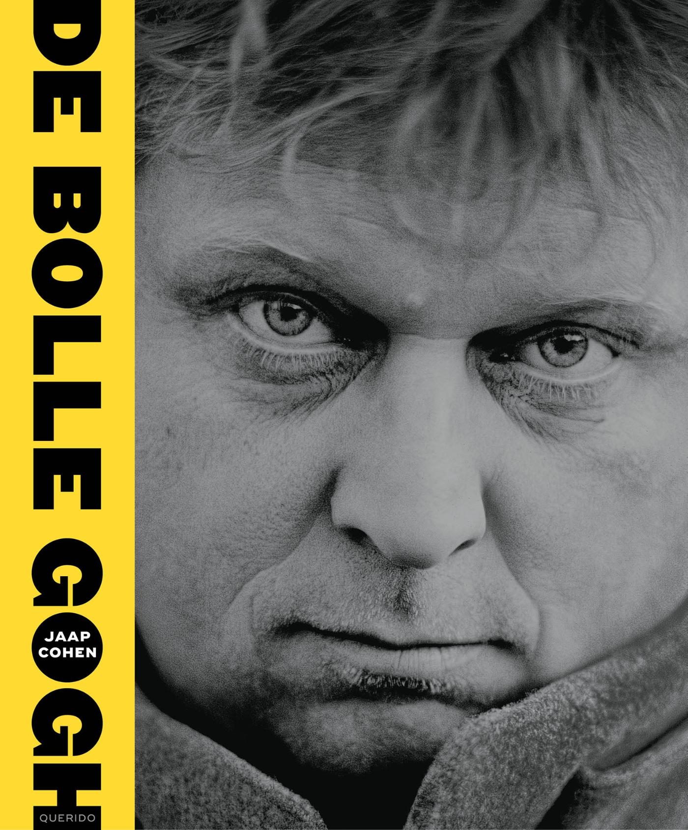 De bolle Gogh | Geschiedenisboeken