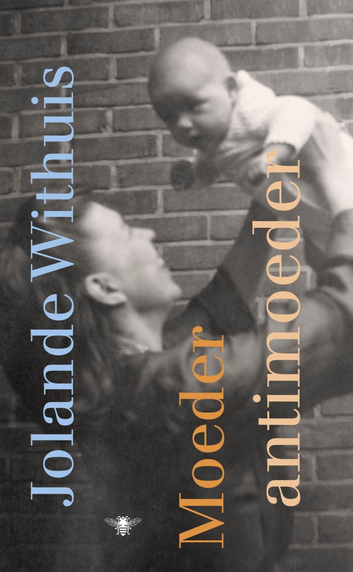 Moeder, antimoeder | Geschiedenisboeken